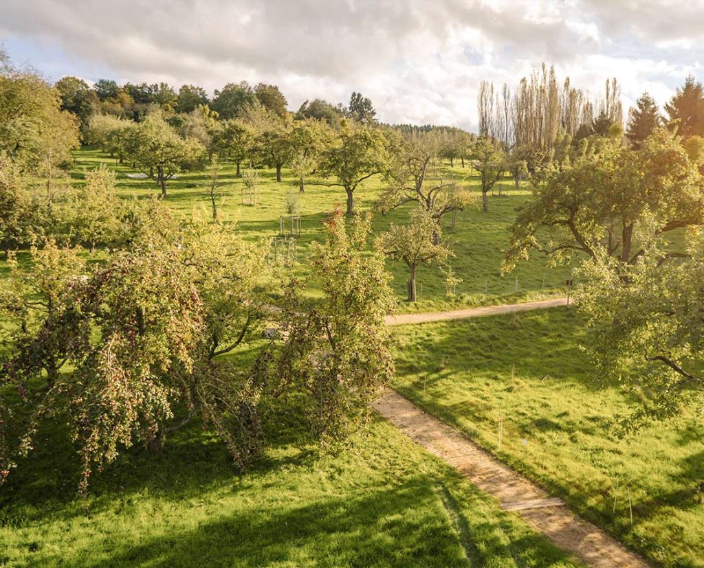 Erholung und Heilung, auch für die Natur im Kloster Arenberg